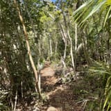 Magens Bay Beach Trail, Saint Thomas, US Virgin Islands - 323 Reviews ...