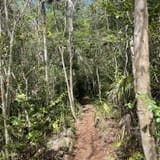 Magens Bay Beach Trail, Saint Thomas, US Virgin Islands - 323 Reviews ...