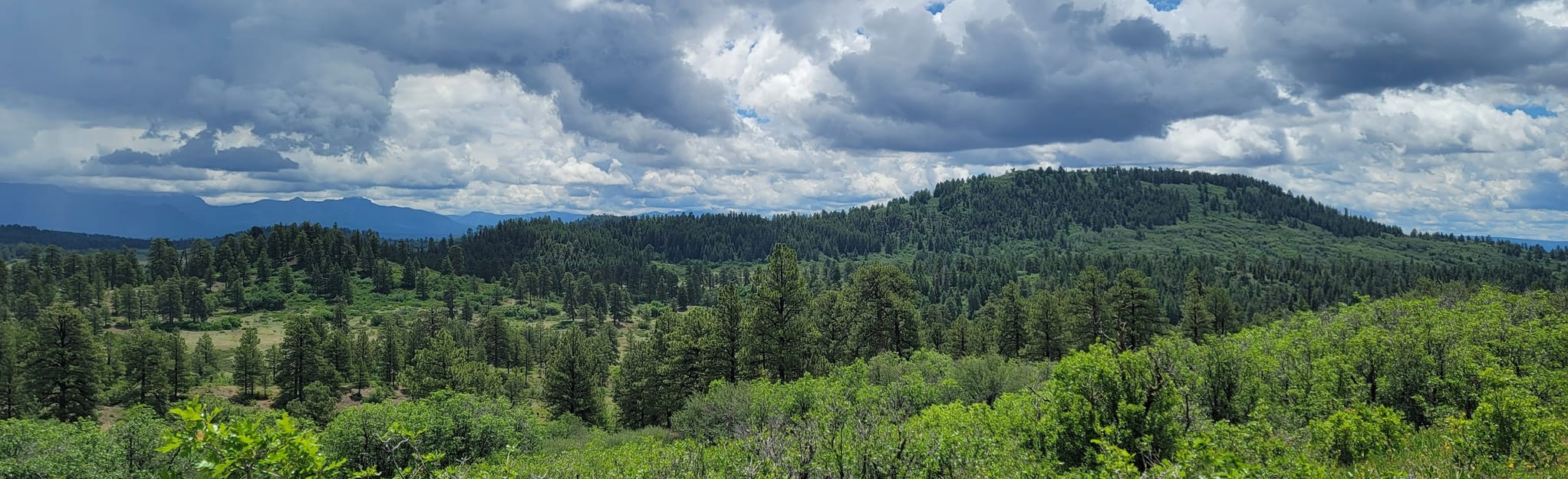 Coyote Hill Loop Trail: 642 Reviews, Map - Colorado | AllTrails