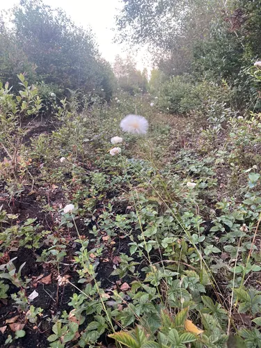 Wainfleet Bog Conservation Area: Die besten Routen zum Wandern | AllTrails