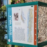 West Sacramento River Walk, California - 96 Reviews, Map | AllTrails