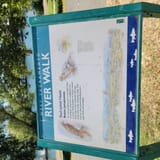 West Sacramento River Walk, California - 96 Reviews, Map | AllTrails