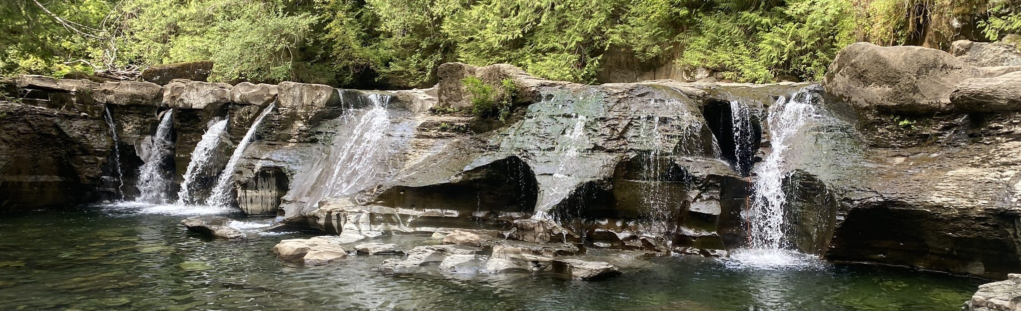 Browns River Falls, British Columbia, Canada - 128 Reviews, Map | AllTrails