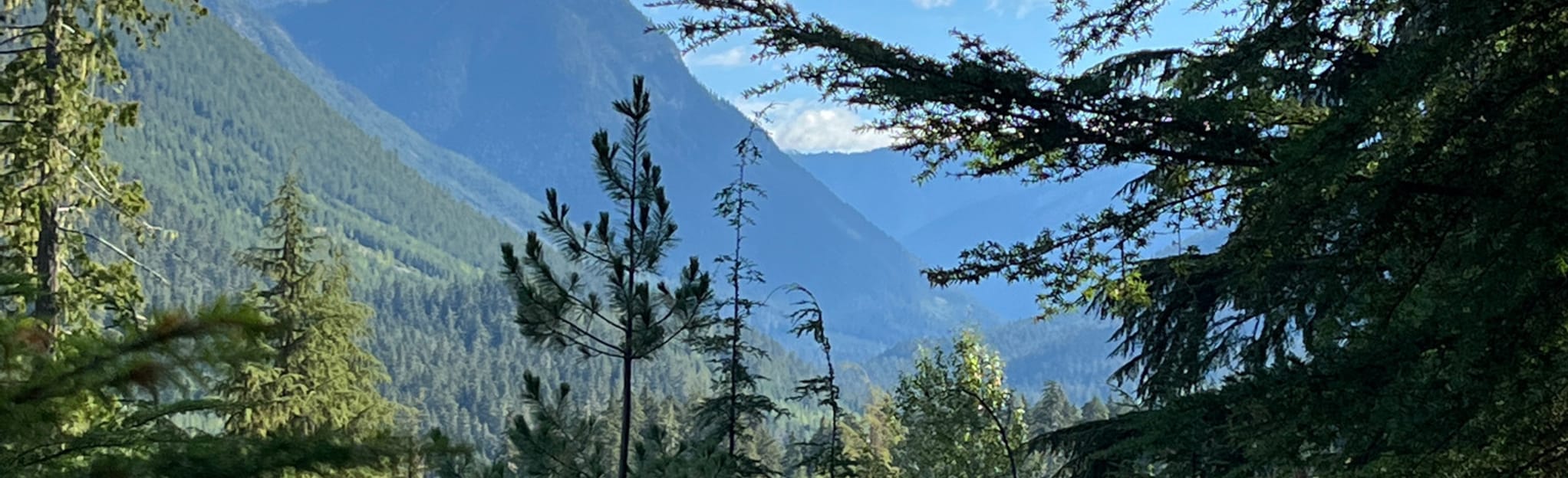 Kimbol Lake via Kuskanux Creek Trail: 57 Reviews, Map - British ...