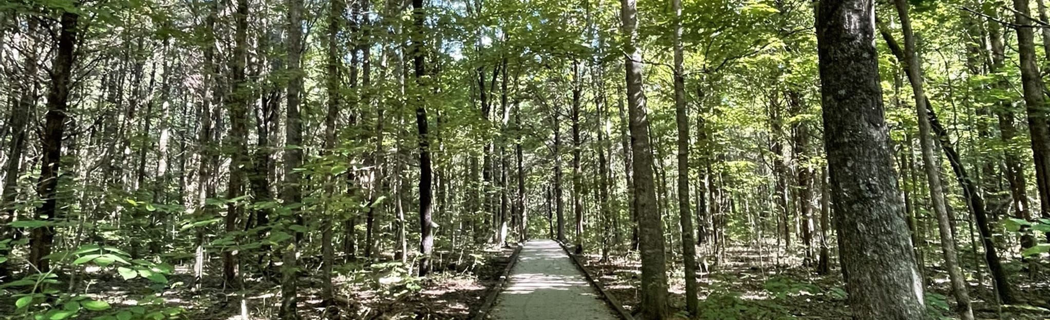 Sand Cave Trail: 215 Reviews, Map - Kentucky | AllTrails