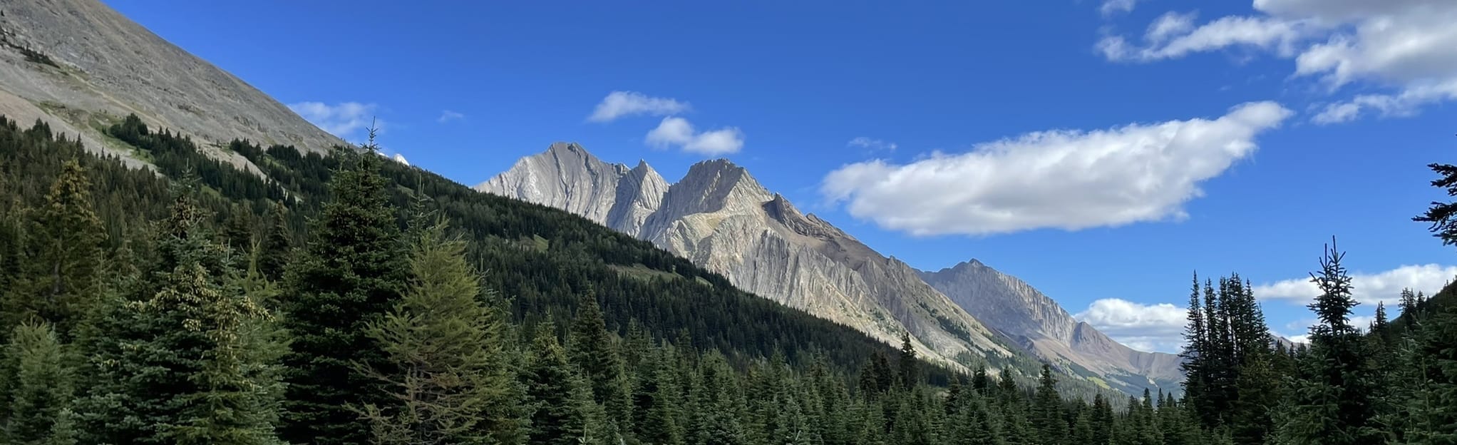 Highwood Ridge Traverse, Alberta, Canada - 17 Reviews, Map | AllTrails