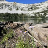 Minam Lake and Blue Lake, Oregon - 90 Reviews, Map | AllTrails