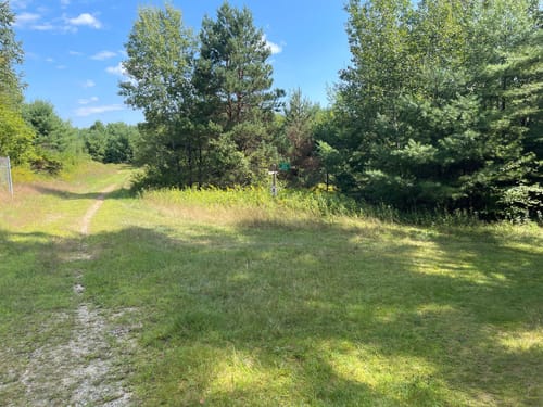 Best Hikes and Trails in Springfield Nature Area | AllTrails