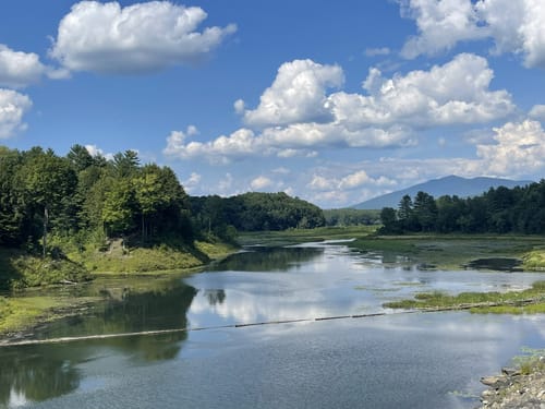 Best Hikes and Trails in Springfield Nature Area | AllTrails