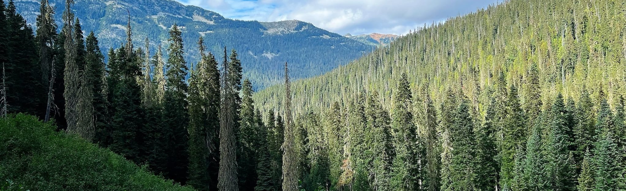 Joffre Lakes: 4353 Reviews, Map - British Columbia, Canada | AllTrails