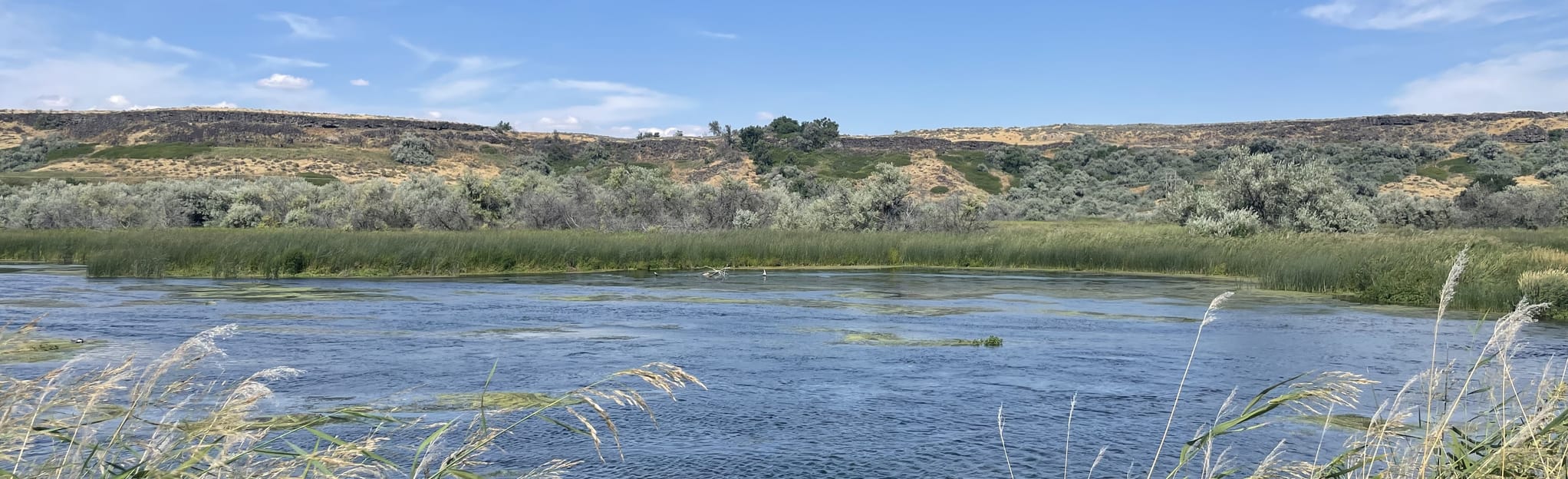 Billingsley Creek Trail, Idaho - 7 Reviews, Map | AllTrails