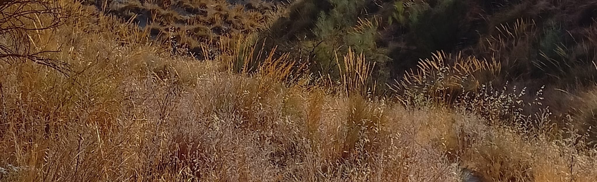 Titulcia - Río Jarama: 10 fotos - Comunidad de Madrid, España | AllTrails