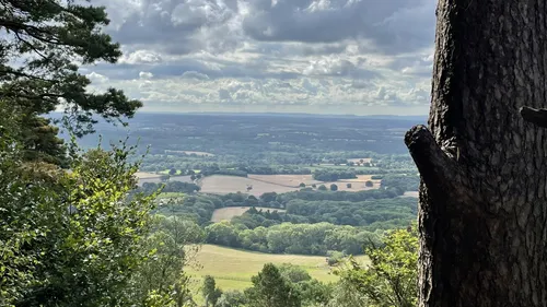 10 Best Hikes and Trails in Surrey Hills National Landscape (AONB ...