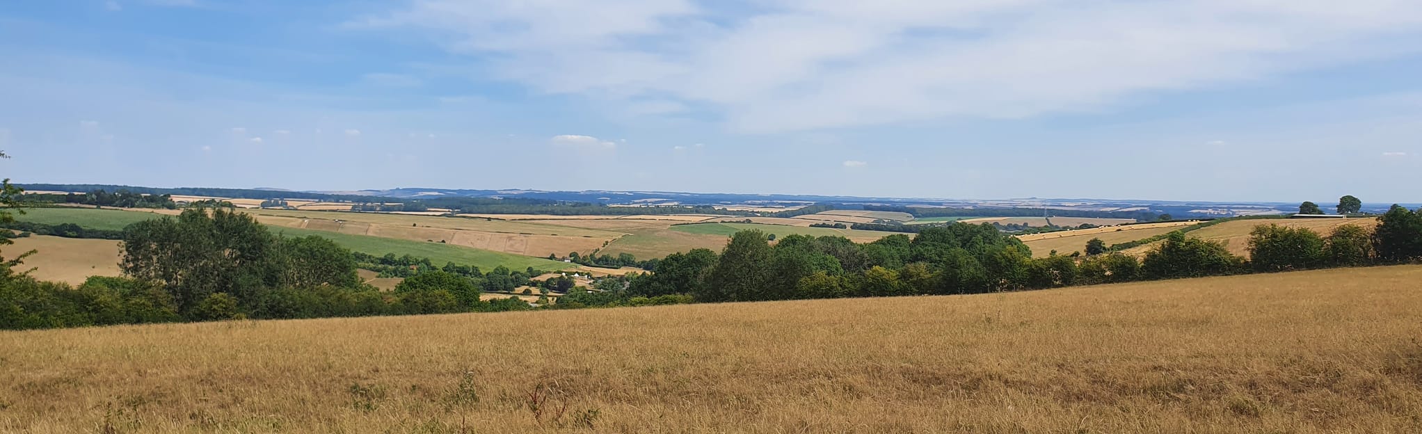 Winterborne Stickland Circular, Dorset, England - 11 Reviews, Map ...