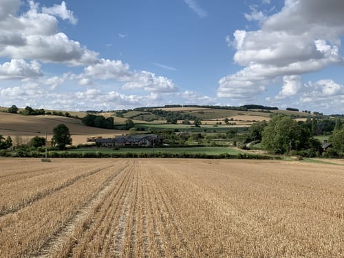 Best 10 Hikes and Trails in Martin Down National Nature Reserve | AllTrails