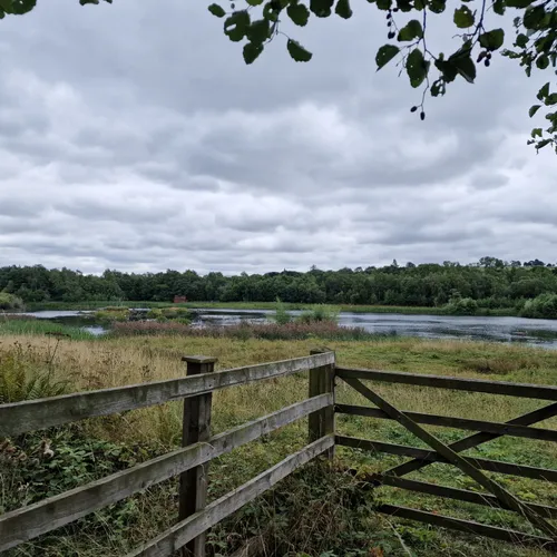 Best Hikes and Trails in Low Barns Nature Reserve | AllTrails