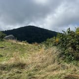 Fork Ridge Trail to Tennent Mountain, North Carolina - 42 Reviews, Map ...