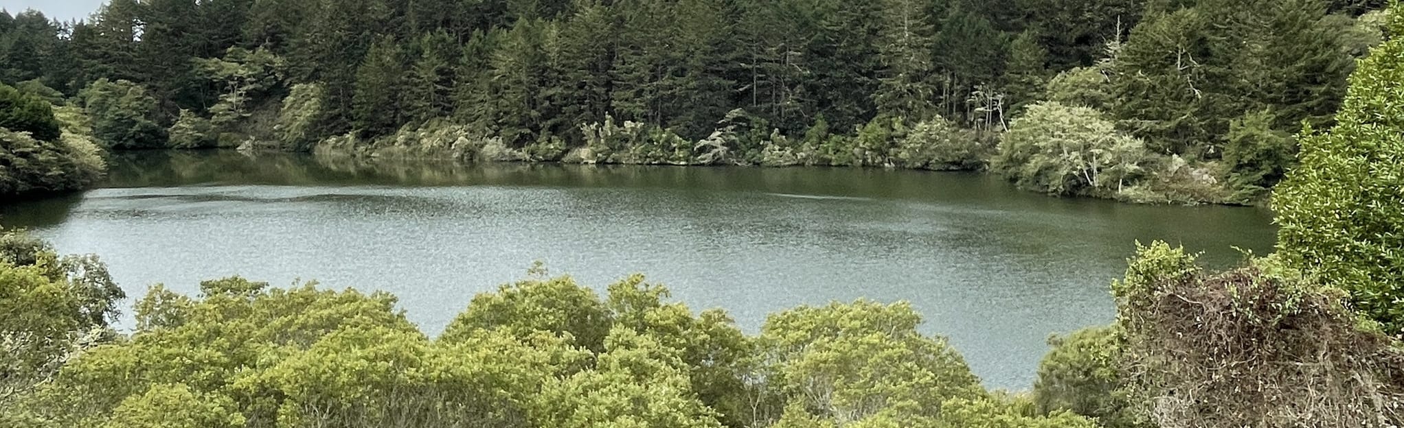 Alamere Falls via Coast Trail from Palomarin Trailhead - California ...