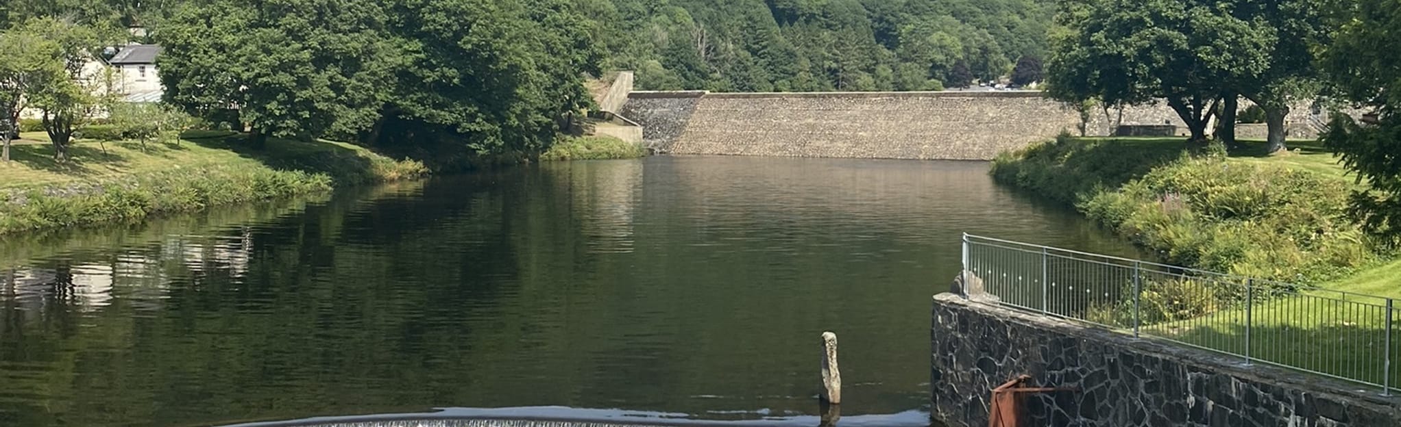 Cwm Rheidol Circular: 59 Reviews, Map - Ceredigion, Wales | AllTrails