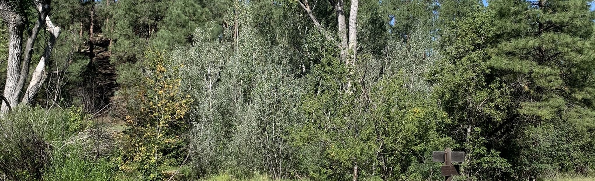 White Spar and Trail 396 Loop: 303 Reviews, Map - Arizona | AllTrails