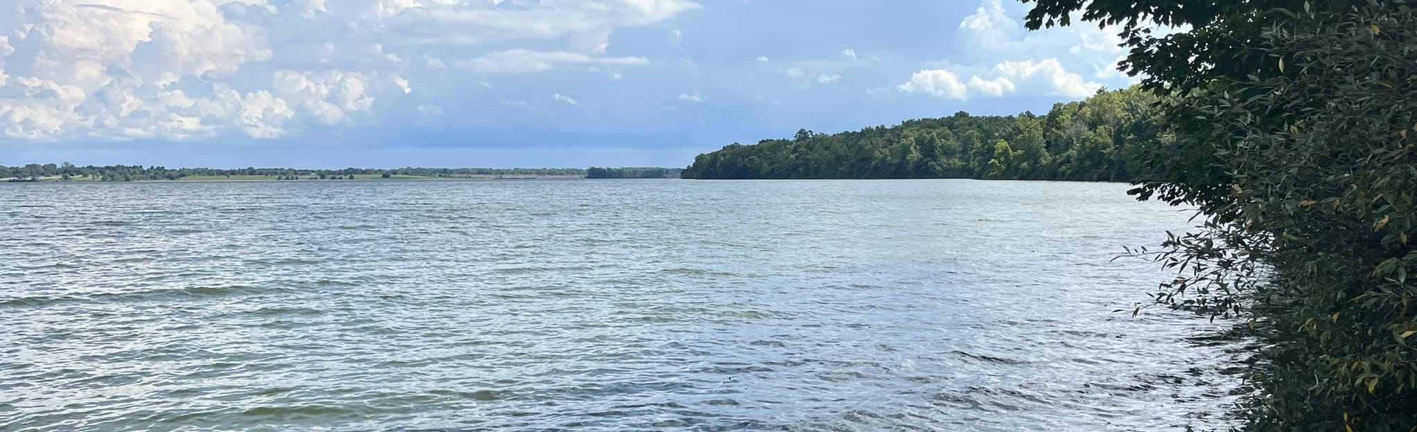 Buckhorn Trail, Ohio - 241 Reviews, Map | AllTrails