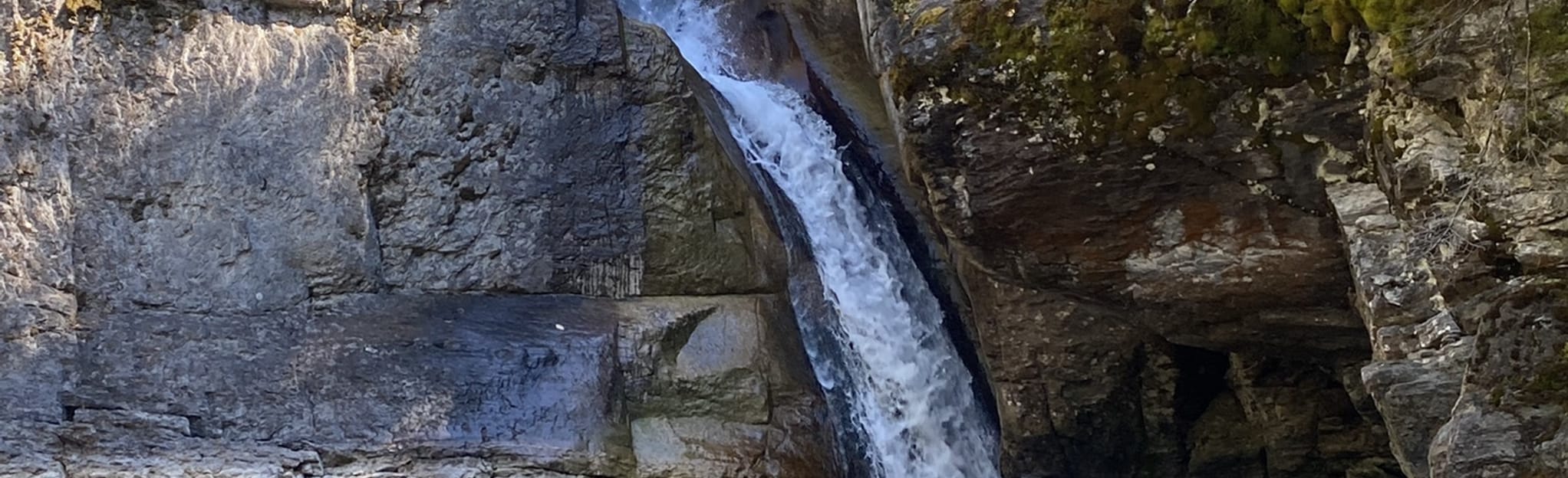 Bond Creek Trail #21 | Map, Guide - Montana | AllTrails