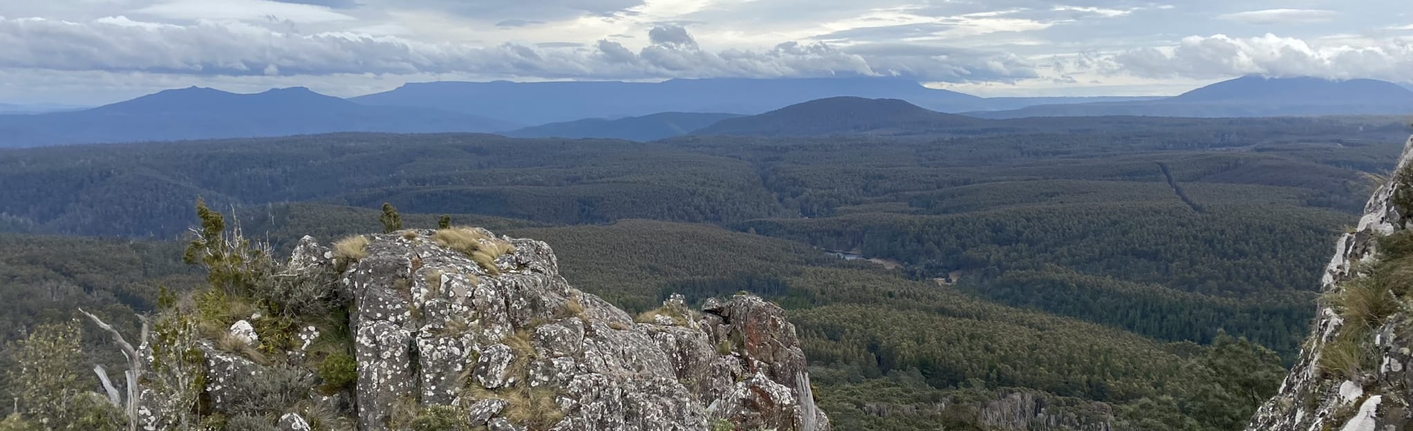 Mount Young Summit, Tasmania, Australia - 8 Reviews, Map | AllTrails
