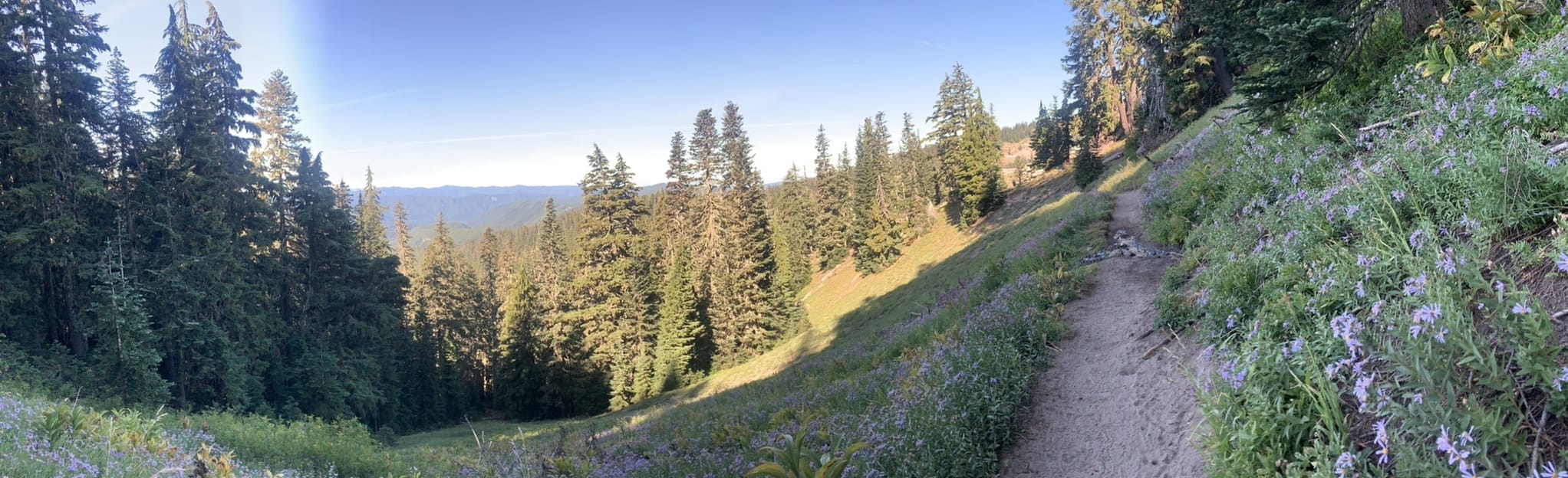 Timberline Trail Around Mount Hood: 1300 Reviews, Map - Oregon | AllTrails