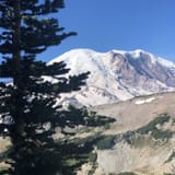 Berkeley Park Trail, Washington - 342 Reviews, Map | AllTrails