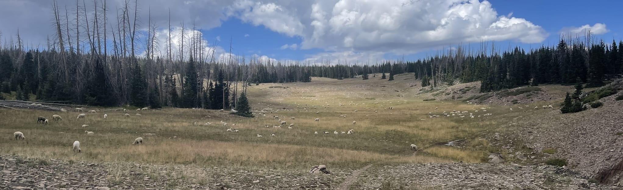 AllTrails | Marathon Trail: 33 Reviews, Map - Utah