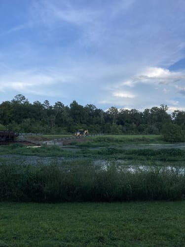 Best Hikes and Trails in Lake Henrietta Park | AllTrails