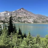 Broken Top Loop, Oregon - 282 Reviews, Map | AllTrails