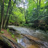 Springfield Falls, Pennsylvania - 124 Reviews, Map | AllTrails