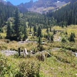 Blaine Basin, Colorado - 301 Reviews, Map | AllTrails