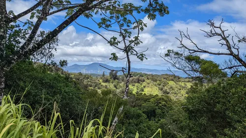 Best Hikes and Trails in Pupukea Paumalu Forest Reserve | AllTrails