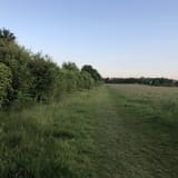 Kingsdown and Walmer Circular, Kent, England - 67 Reviews, Map | AllTrails