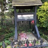 Kingsdown and Walmer Circular, Kent, England - 67 Reviews, Map | AllTrails