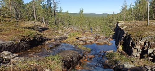 Best 10 Hikes and Trails in Lemmenjoki National Park | AllTrails