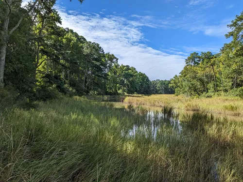 Best Hikes and Trails in Colonial National Historical Park | AllTrails