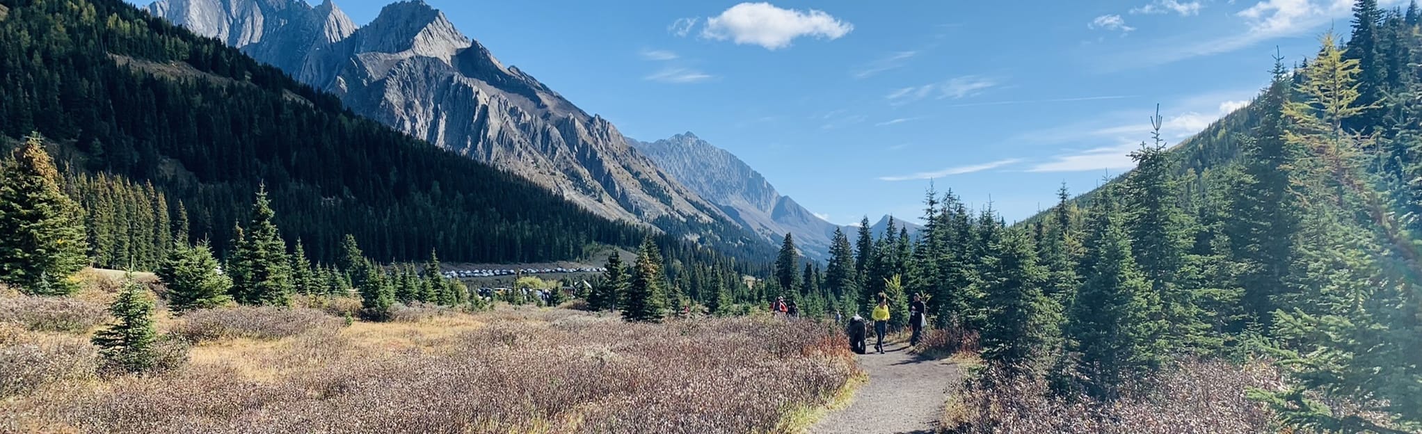 Highwood Ridge and Grizzly Ridge Loop: 21 Reviews, Map - Alberta ...