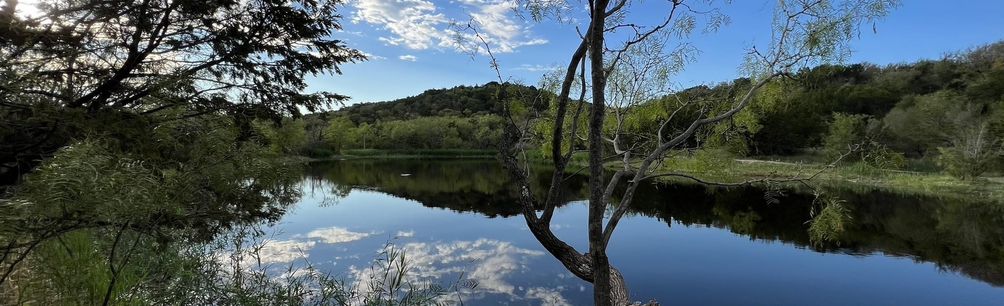 Cattail Pond, Fossil Valley, Red Oak and Escarpment Trail Loop - Texas ...