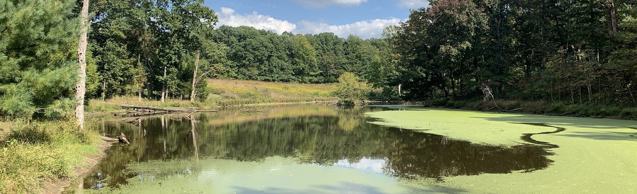 Central Kentucky Wildlife Refuge Yellow Trail, Kentucky - 8 Reviews ...