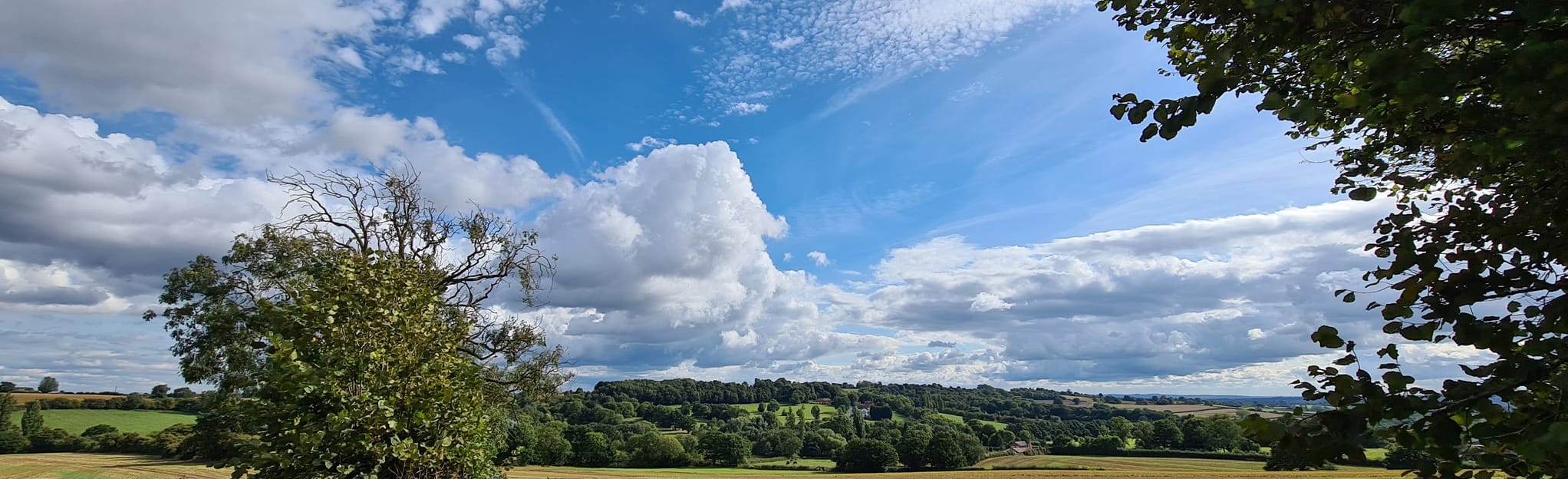 Colliers Wood Circular, Derbyshire, England - 67 Reviews, Map | AllTrails