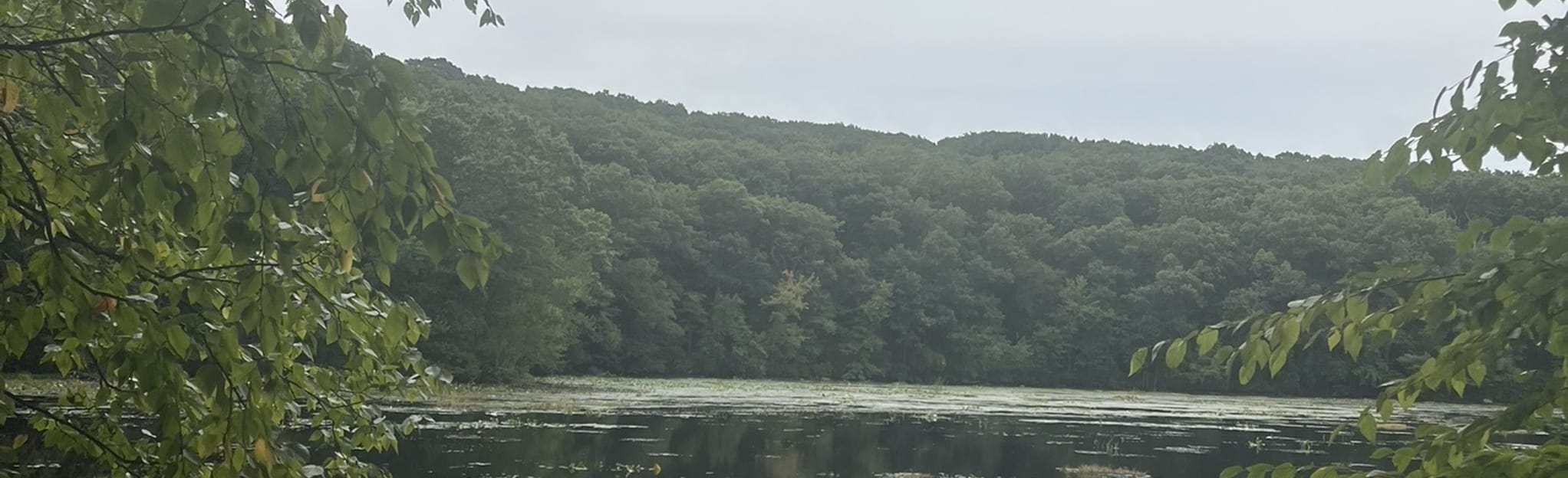 The Tourne and Birchwood Lake Loop - New Jersey | AllTrails