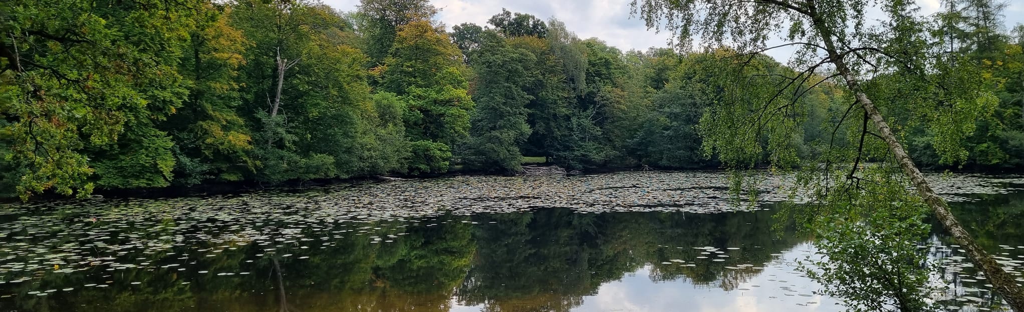 Holte Station - Hillerød Station, Capital Region of Denmark, Denmark ...