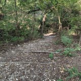 Oak Cliff Full Loop, Texas - 789 Reviews, Map | AllTrails