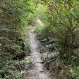 Oak Cliff Full Loop, Texas - 781 Reviews, Map | AllTrails