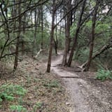 Oak Cliff Full Loop, Texas - 781 Reviews, Map | AllTrails