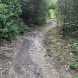 Oak Cliff Full Loop, Texas - 781 Reviews, Map | AllTrails