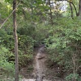 Oak Cliff Full Loop, Texas - 781 Reviews, Map | AllTrails